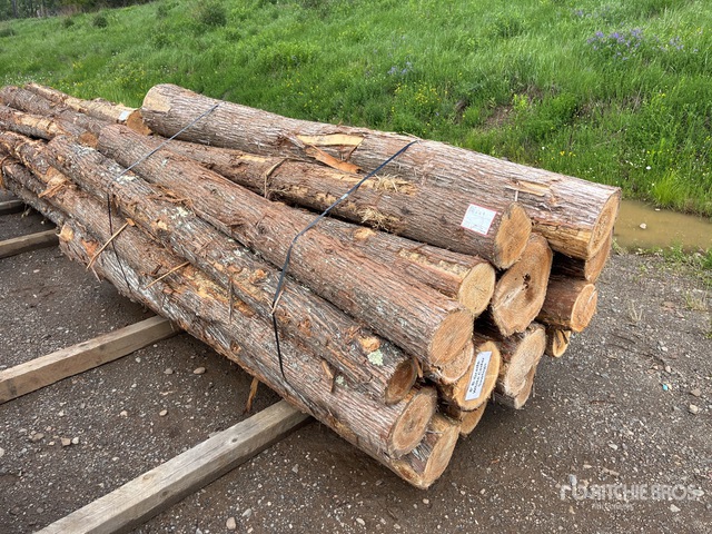 Quantity of (16) Saw Logs 8ft long B-Grade White Cedar | Ritchie Bros ...