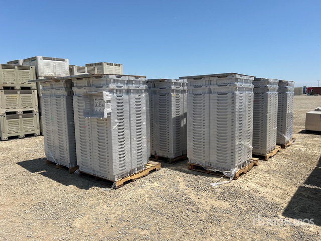 Quantity of (14) Pallets of Orchard Picking Trays | Ritchie Bros ...