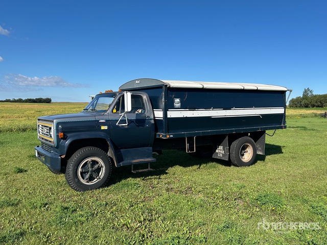 1981 Chevrolet C60 4x2 Grain Truck | Ritchie Bros. Auctioneers