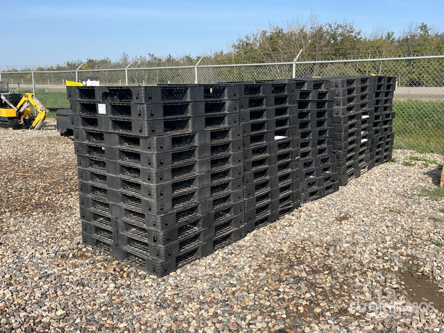 Quantity of (60) Plastic Pallets | Ritchie Bros. Auctioneers