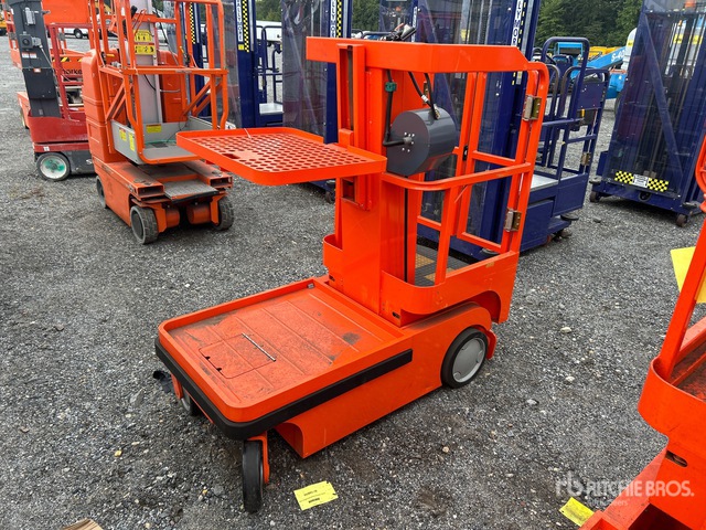 Dingli Vertical Mast Lift | Ritchie Bros. Auctioneers