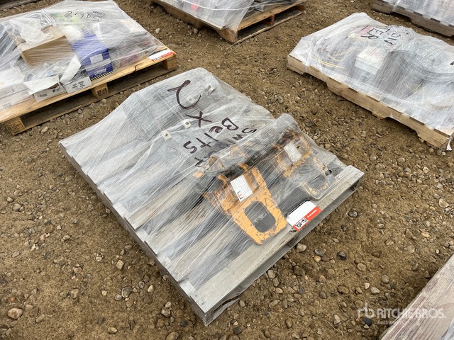 Quantity of (2) Icon Energy Services Lowering-In Belts | Ritchie Bros ...