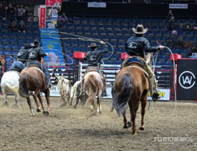 Mankota Stockmen's Weigh Co. | Ritchie Bros. Auctioneers