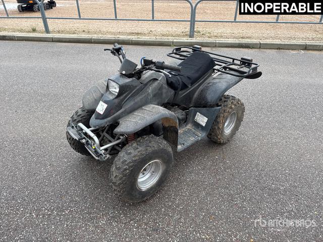 2000 Dinli T-Rex Quad 100 cm3 Divers - Véhicules récréatif (Inoperable ...