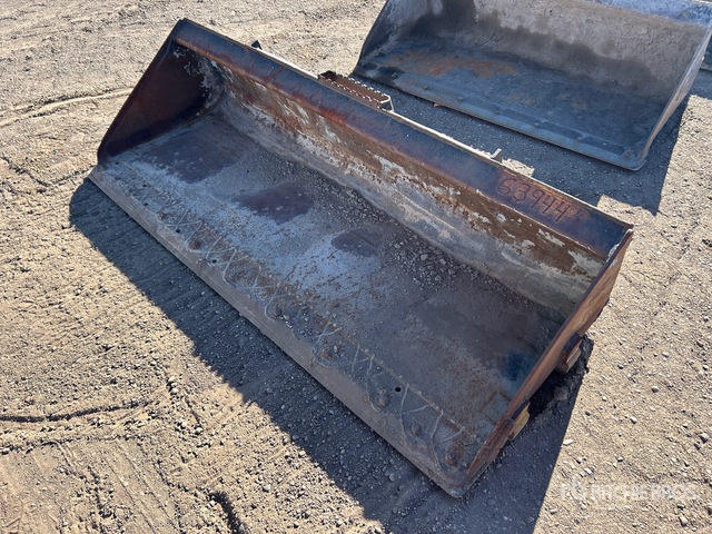 Cat 78 in Skid Steer Bucket | Ritchie Bros. Auctioneers
