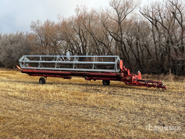 1996 Case IH 8230 30 ft Pull Type Swather Andaineuse | Ritchie Bros ...