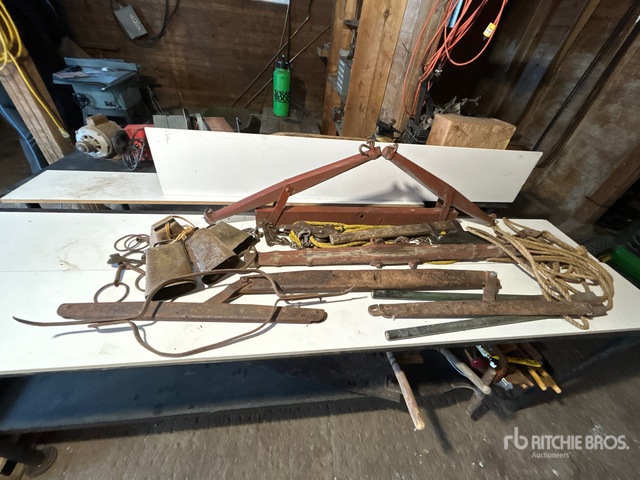 Miscellaneous Antique Livestock Tools | Ritchie Bros. Auctioneers