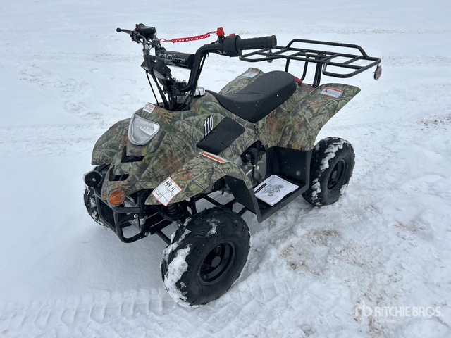 2021 Tao 110 4x2 ATV (Unused) | Ritchie Bros. Auctioneers
