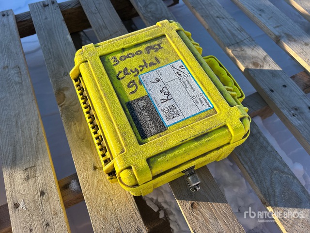 Crystal 3000 psi Digital Pressure Gauge | Ritchie Bros. Auctioneers