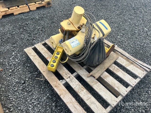 Doerr Electric 2 ton Construction Hoist | Ritchie Bros. Auctioneers