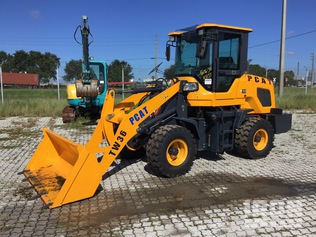 2020 (unverified) PCAT TW36 Wheel Loader in Tampa, Florida, United ...